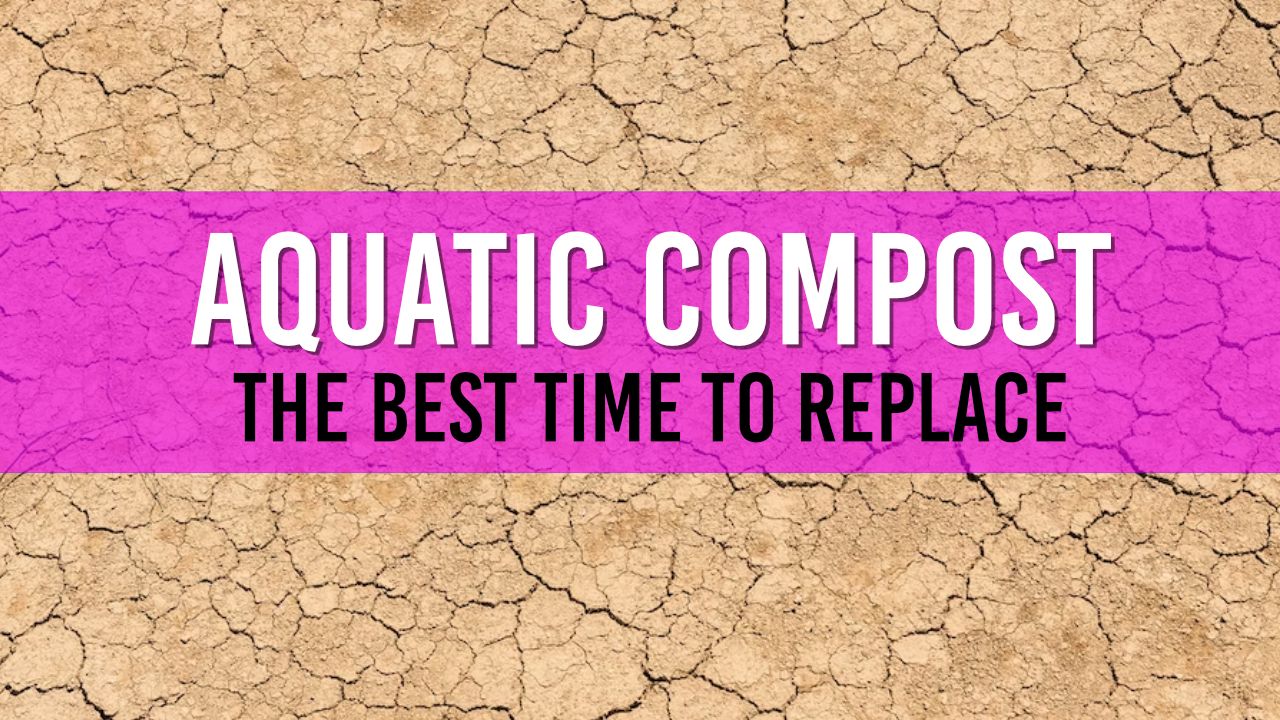 Replacing Aquatic Compost: When, Why, and How | PondAnswers.com