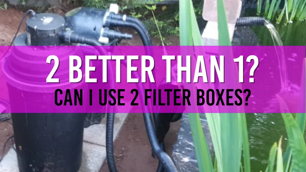 Optimize Pond Filtration: Using Multiple Filter Boxes for Healthier Ponds