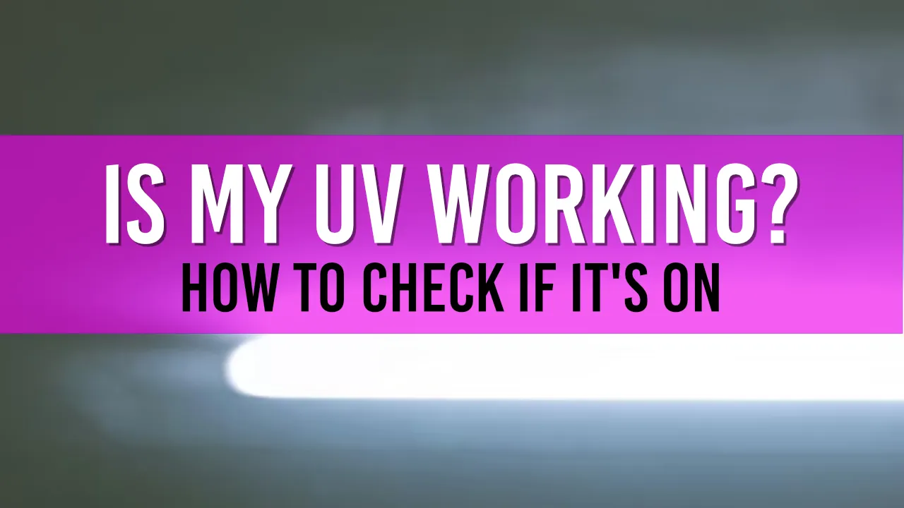 How to Check Your UV Pond Lamp: A Comprehensive Guide | Pond Answers