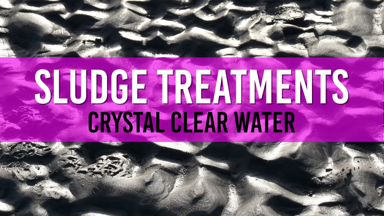 Top Pond Sludge Treatments: Find the Best Solution for a Crystal Clear Pond