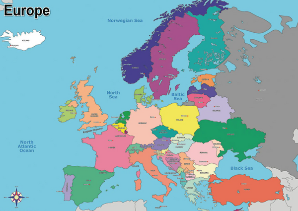 Blue Orfe Pond Fish: The Ultimate Guide for Garden Ponds