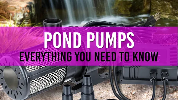 Pond Pump - What are they and Why you Need one for your Pond